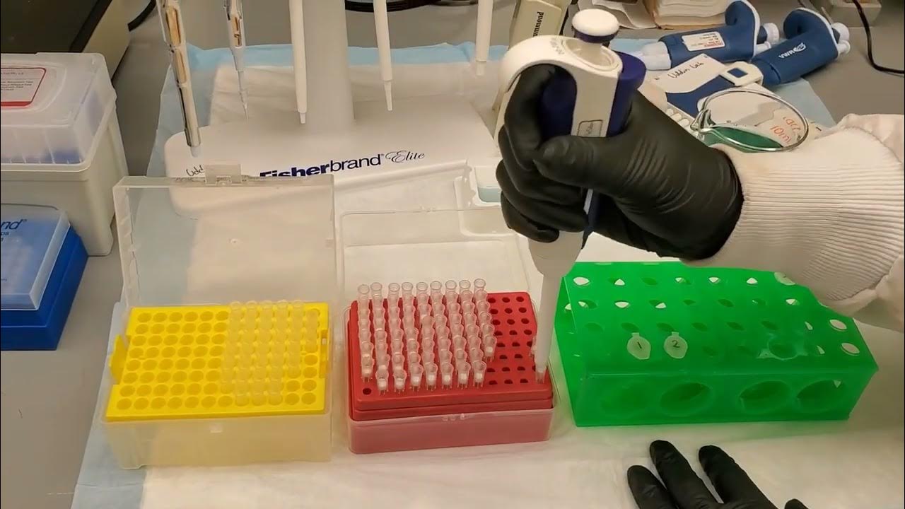 Pipetting Tutorial - YouTube
