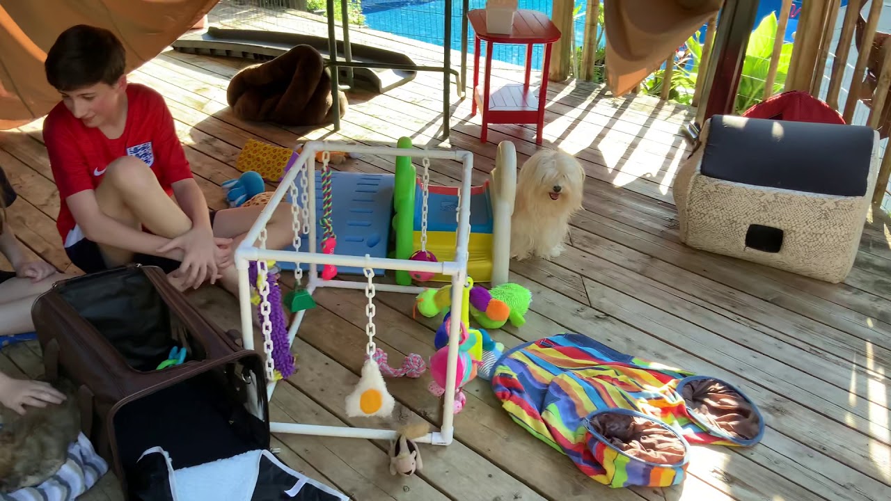 Quiet Play as it is Hot - YouTube