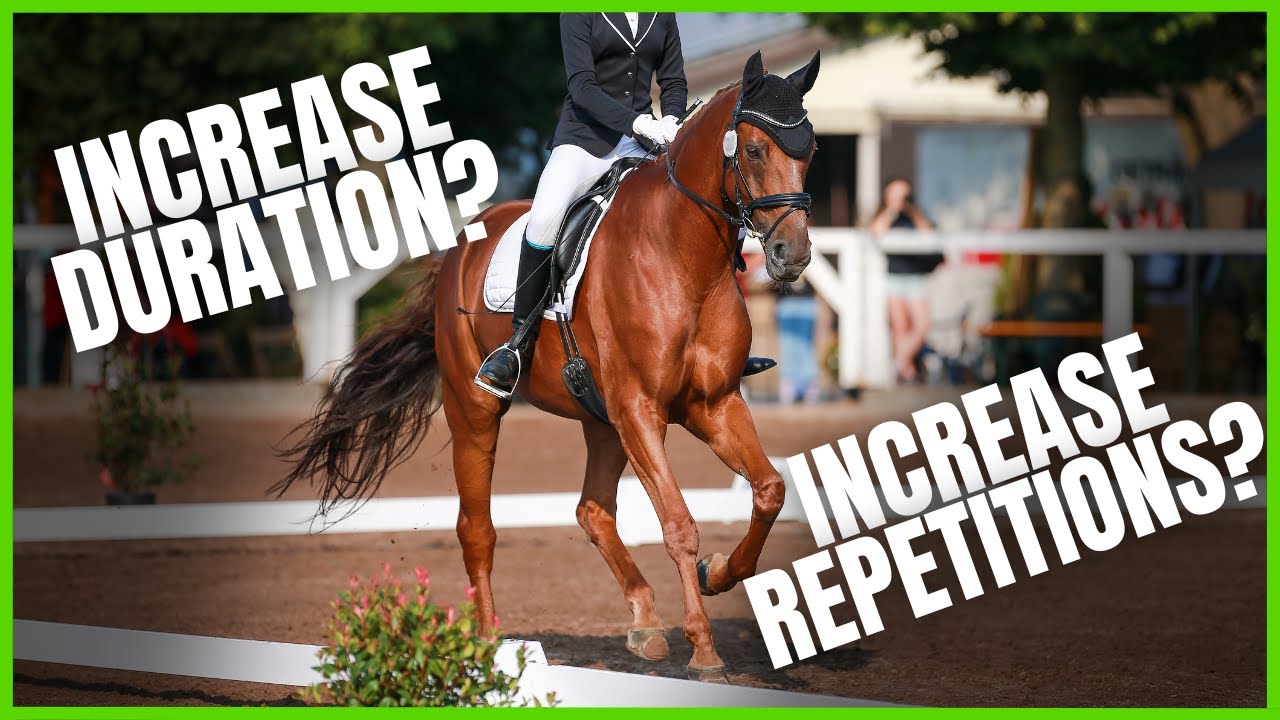 The BEST METHOD for teaching a HORSE from The Complete Online Dressage ...