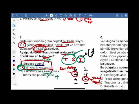 5 MİKRO ON DENEME SINAVI - 5