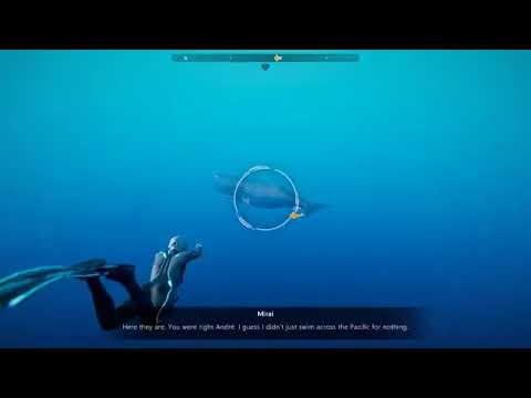 Beyond blue ps4 gameplay our first dive - YouTube
