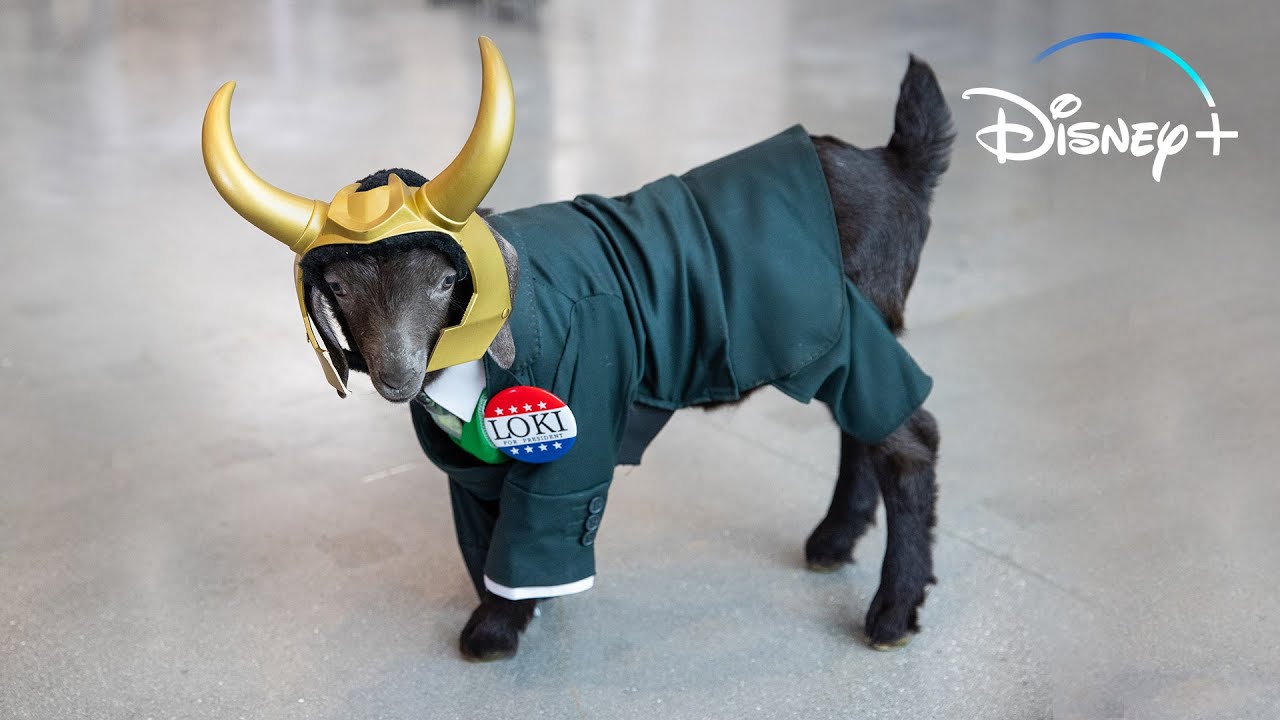 Disney+ GOATs... Assemble | Disney+ - YouTube