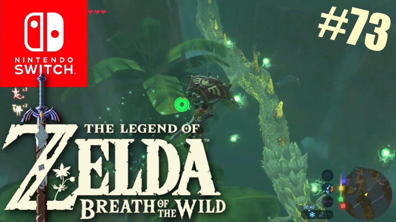 Zelda Breath of the Wild #73: Die Schuppe von Farodra - BOTW (Nintendo ...