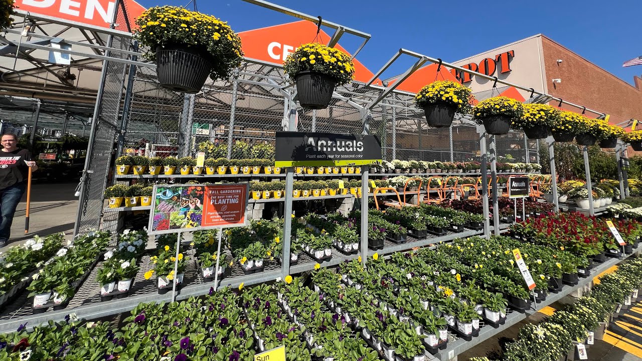 Home Depot fall plant inventory and sale! - YouTube