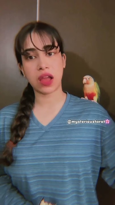 current feelings of your partner 💕 #tarotreading #whatscomingupinlovelife #tarot - YouTube