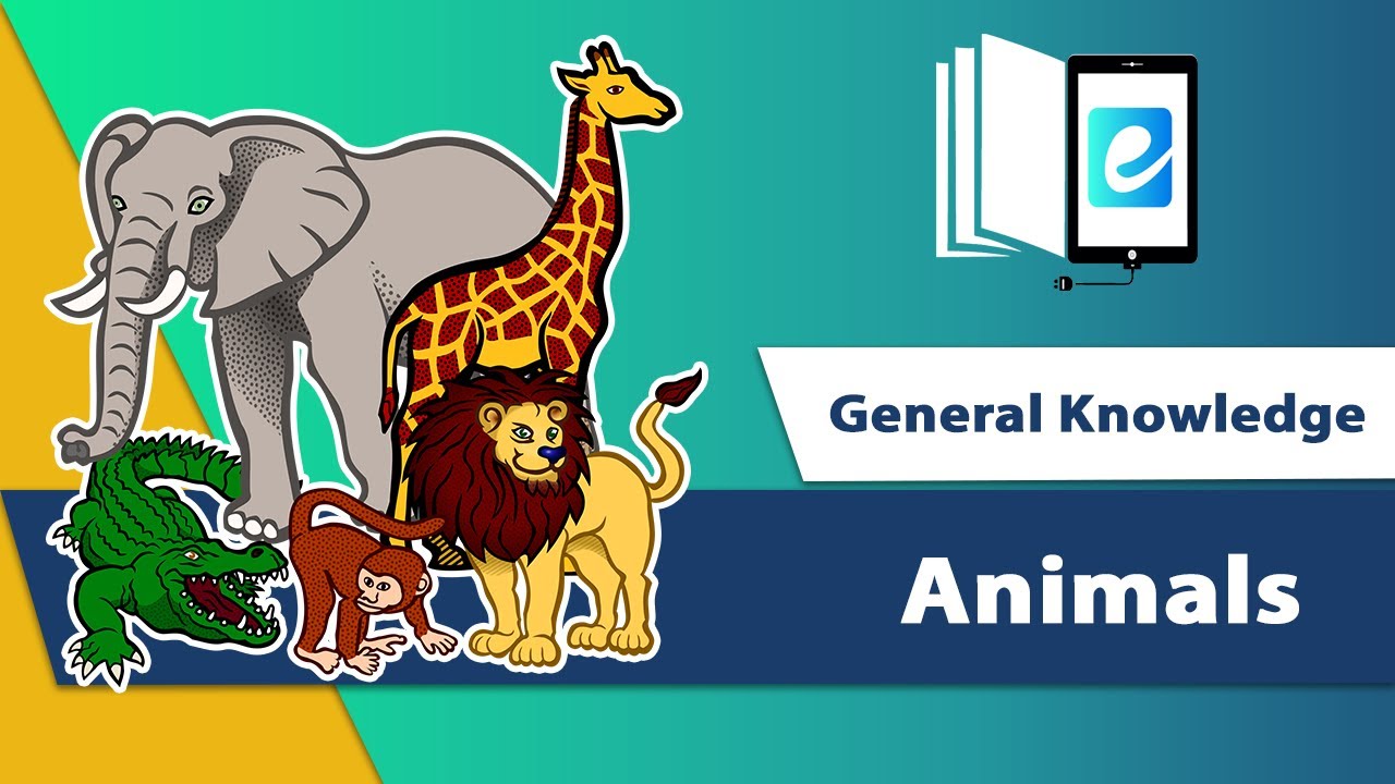Animals - Kids Educational Animated Video (zoo cartoon) | eLearn K12 ...