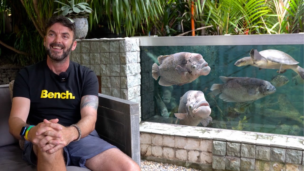 The 25,000L Monster Fish Pool | Backyard Tour - YouTube