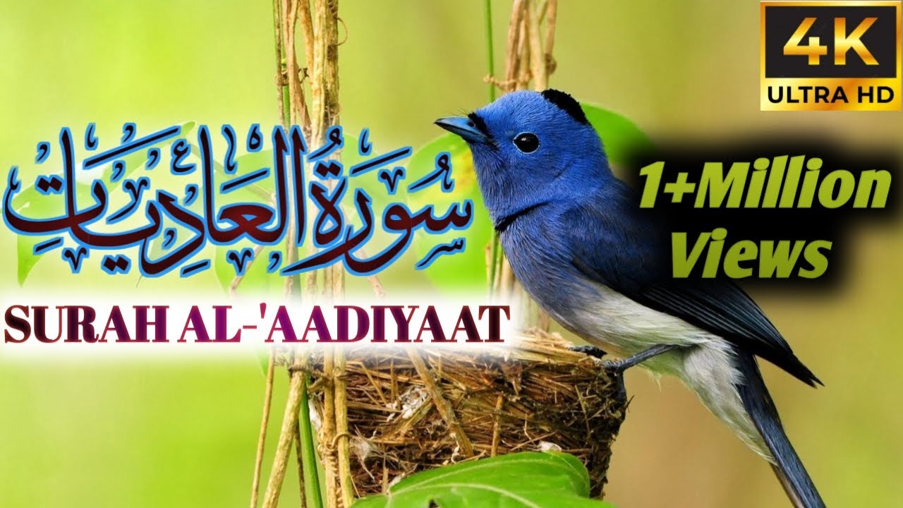 Surah Al-Aadiyaat (The Charging Horses) | I'm Best Muslim | Beautiful ...