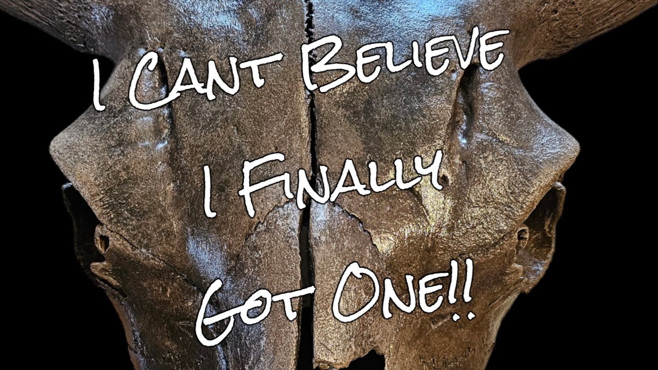 Finally, Got One!! - YouTube