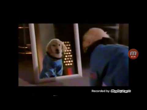 Space Buddies DVD & Blu Ray Commercial V1 - YouTube