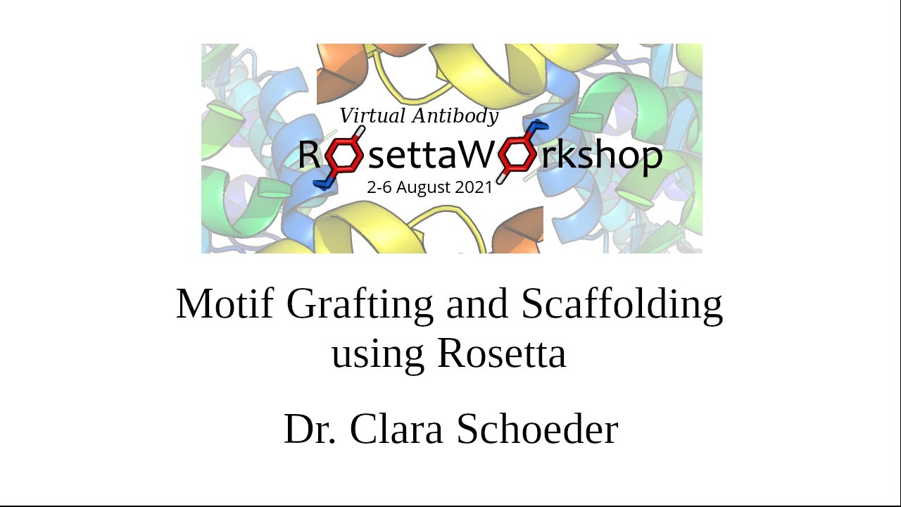 Motif Grafting and Scaffolding using Rosetta - Rosetta Virtual Workshop ...