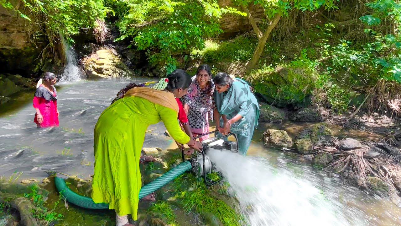 Waterfall Fish Catching | pumping water outside the natural waterfall ...