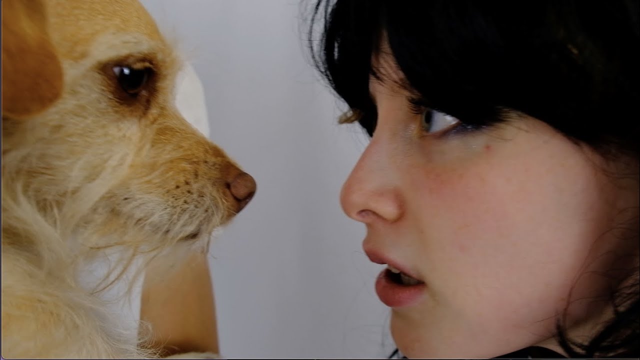 Gabi Gamberg - wednesday (Official Video) - YouTube