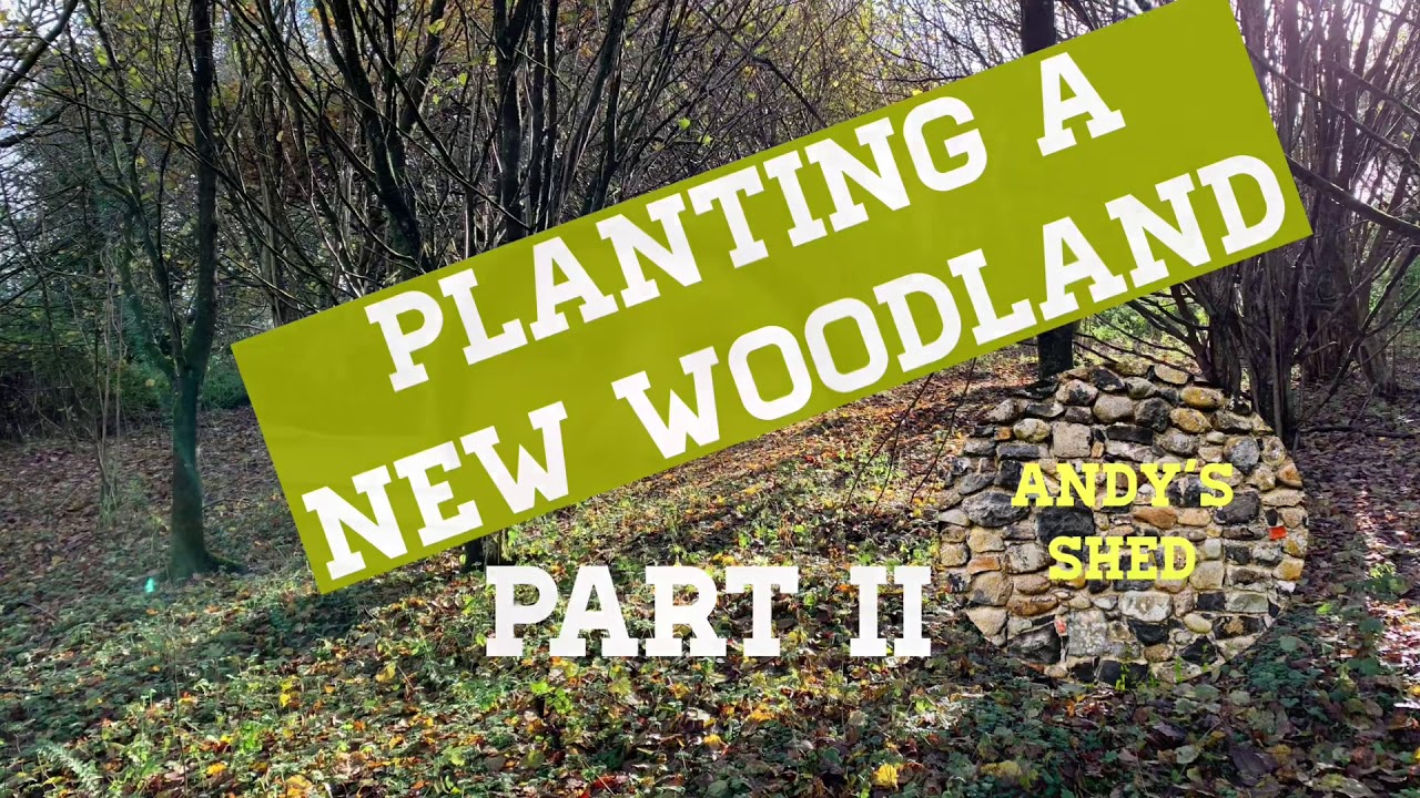 I PLANTED A WOODLAND | Part II | Small Woodland Creation Project - YouTube