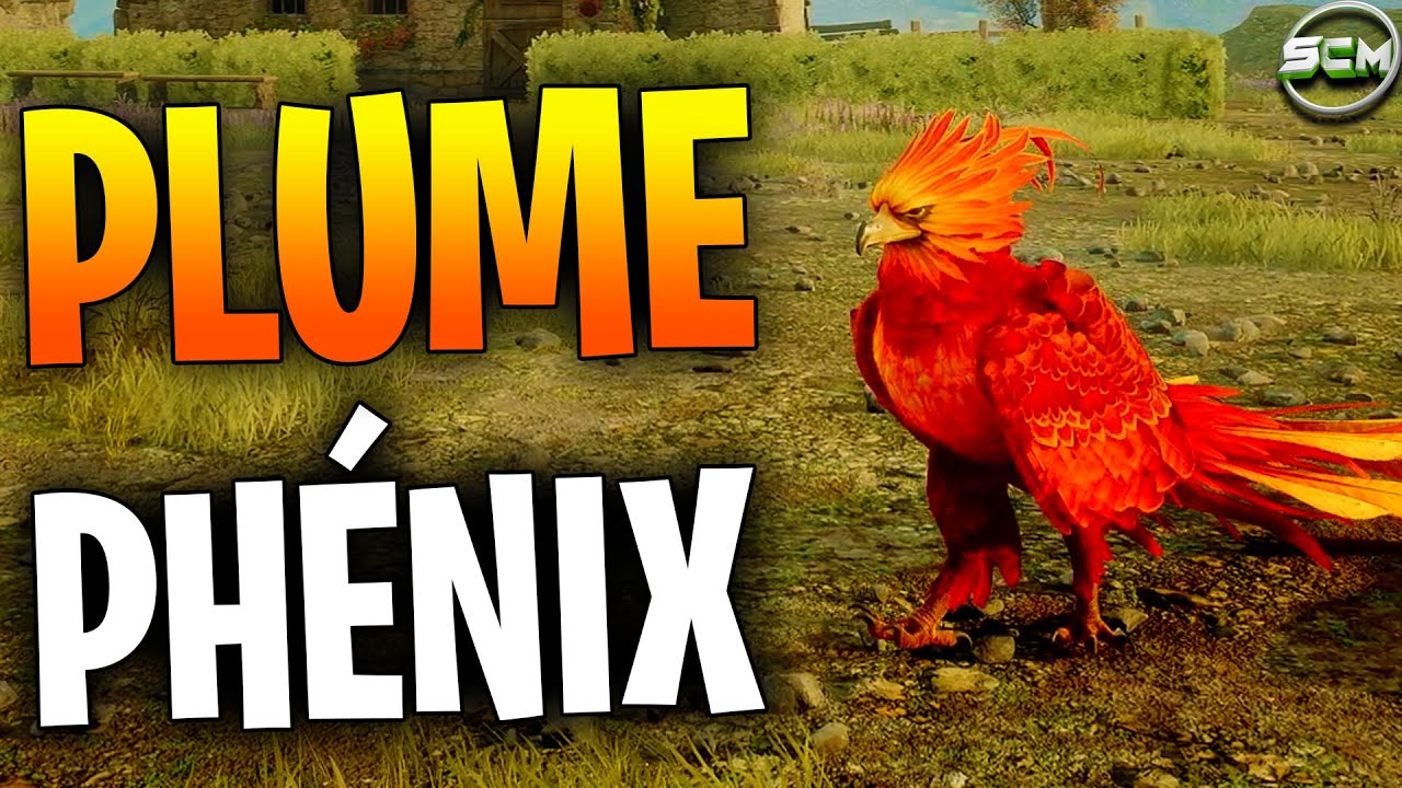 Comment Avoir un Phénix Hogwarts Legacy, Tuto Guide Emplacement Plume ...