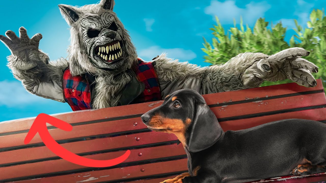 How To Make SCARY WEREWOLF Costume - YouTube