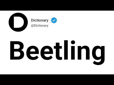 Beetling Meaning In English - YouTube