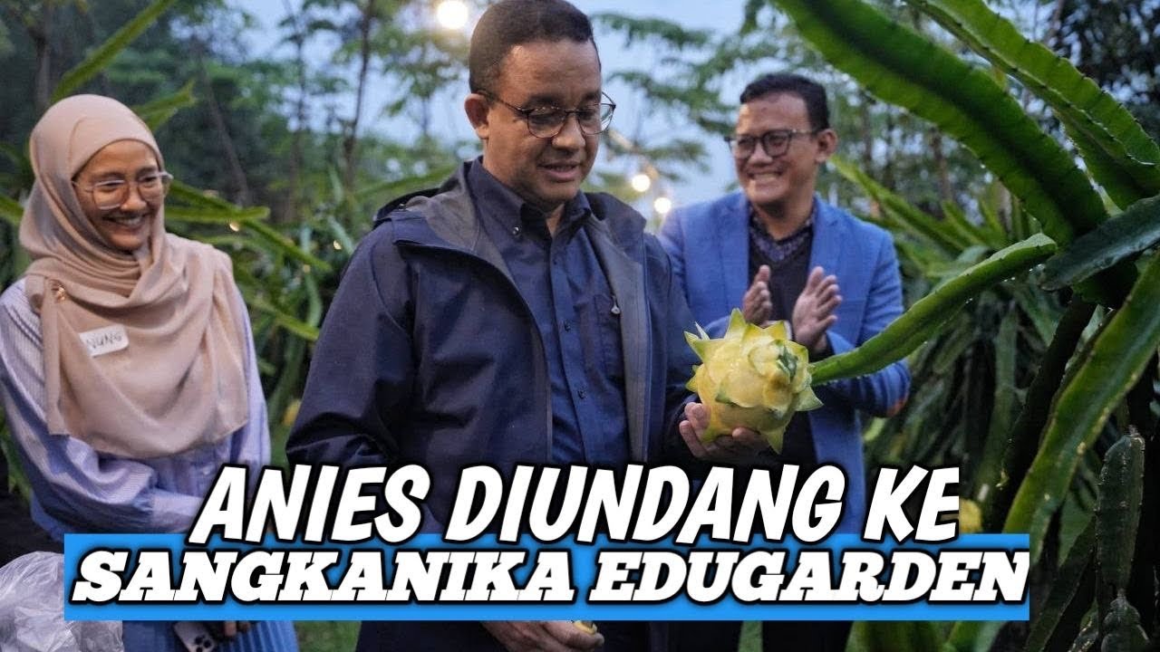 ANIES DIUNDANG‼️BERKUNJUNG KE SANGKANIKA BUAH NAGA EMAS MILIK DOKTOR ...