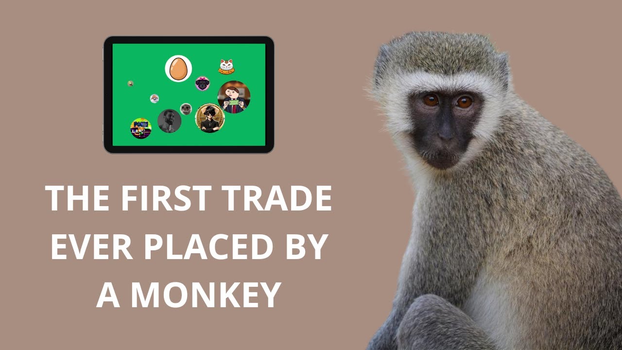 Real Monkey Trading Memecoins Day #1 - YouTube