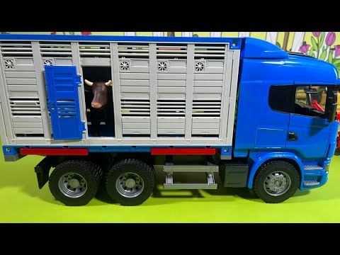 Big Tuck with Animals  Farm and Cars!