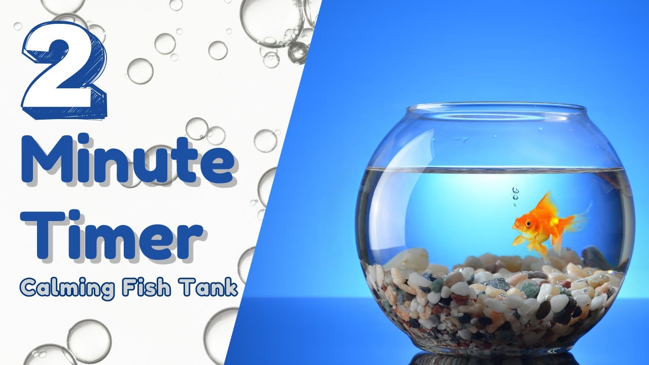 2 Minute Timer | Calming Fish Tank Timer | Countdown Timer with Alarm ...