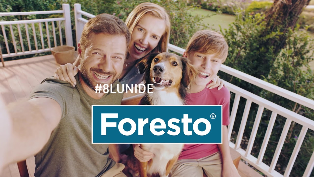 Foresto 8Luni de protectie 32 secHD - YouTube