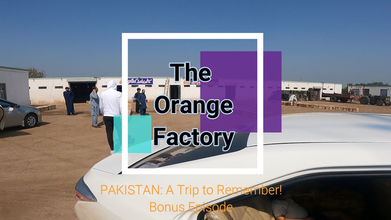 Bonus - The Orange Factory - YouTube