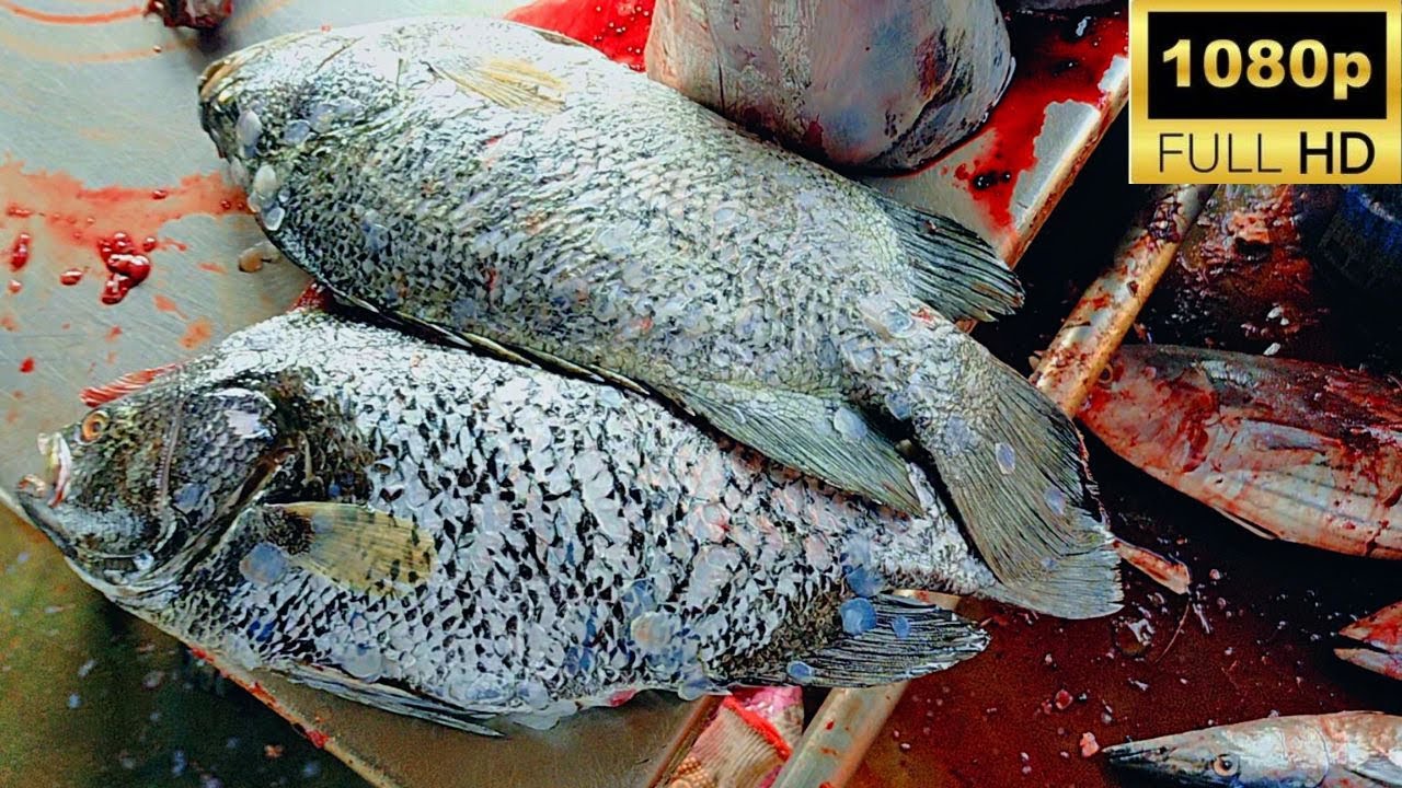 koduva fish cutting | fish cutting expert man - YouTube