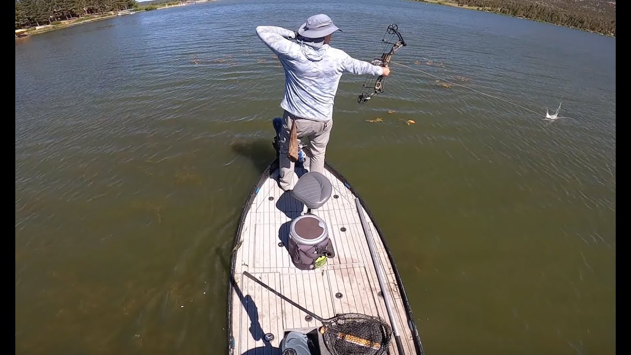 CK 2023 - #30 Bowfishing on a Jon Boat/60 carp, 1 albino catfish (2 of ...