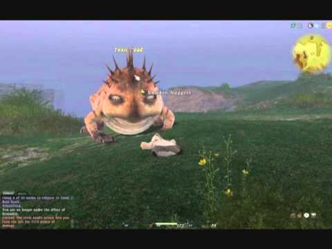 FFXIV Toxic Toad kills a Taru Taru ( lala fell) named Chicken Nuggets ...