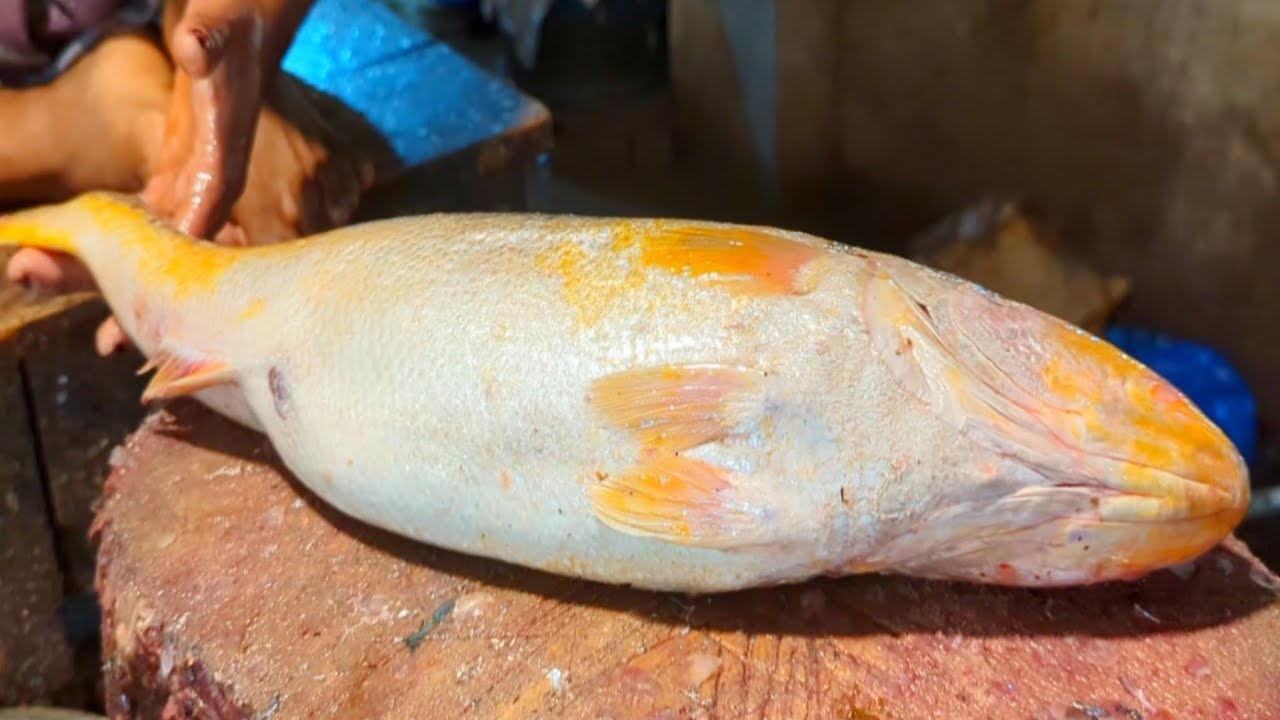 Amazing Fast Poa Fish Cutting Skills In Bangladesh Fish Market By ...