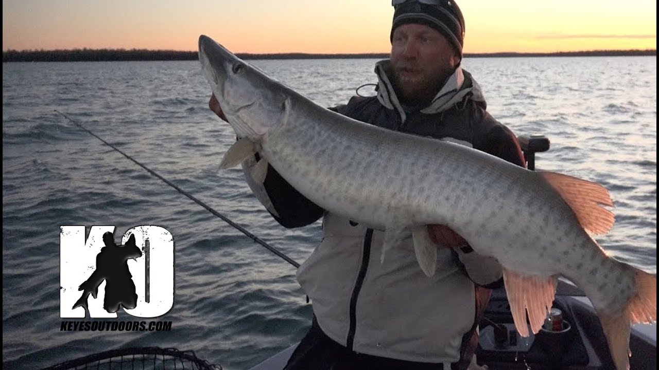Fishing for HUGE Great Lakes Muskies - Part 2 - YouTube