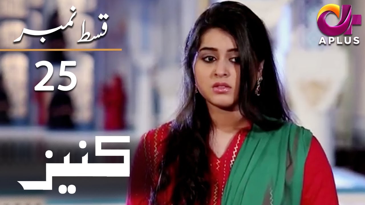 Kaneez - Episode 25 | Aplus | Ali Safina, Fazila Qazi, Asad Malik | Pakistani Drama | CE1O ...
