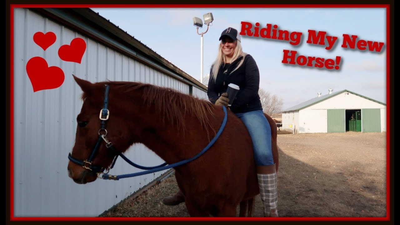 🐴Our New Horse!😍Riding Our Horses At The New Barn For The First Time! 🌹 ...