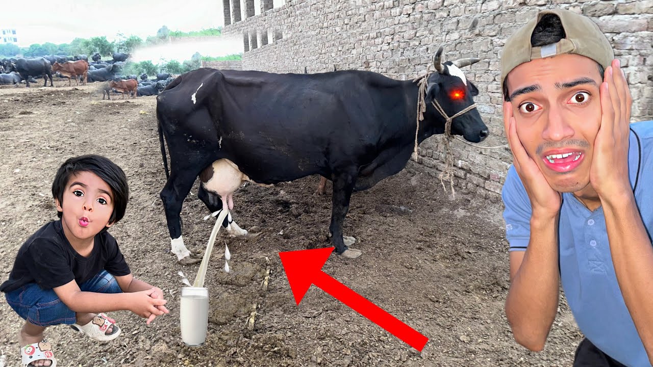 My Brother Trying Red Bull Milk 😱 - YouTube