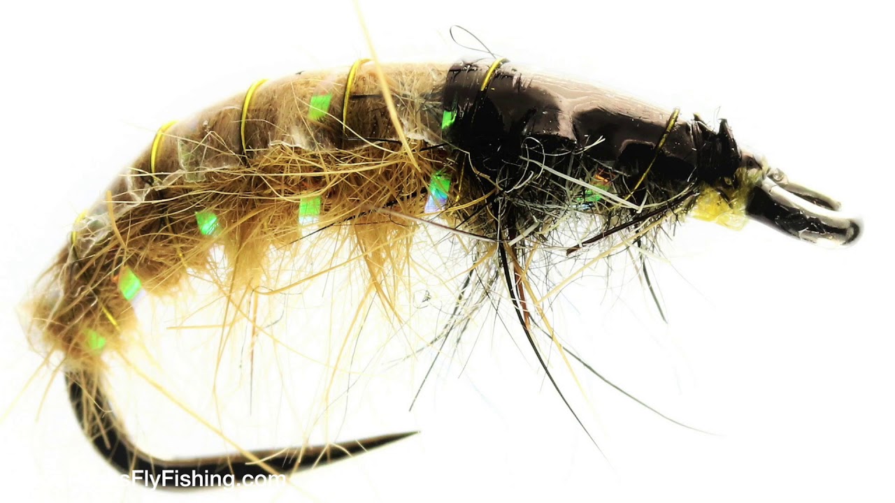 Czech Nymphing For Grayling On An Urban Stream - YouTube