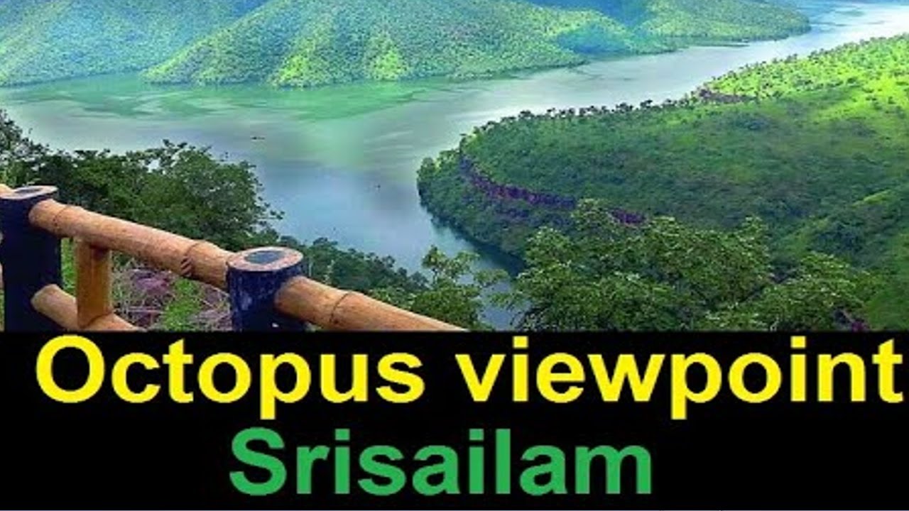 OCTOPUS VIEW POINT NEAR SRISAILAM - YouTube