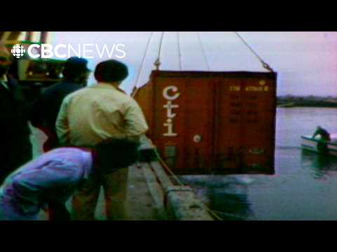 A container ship sank. Then came the treasure hunters | From the archives