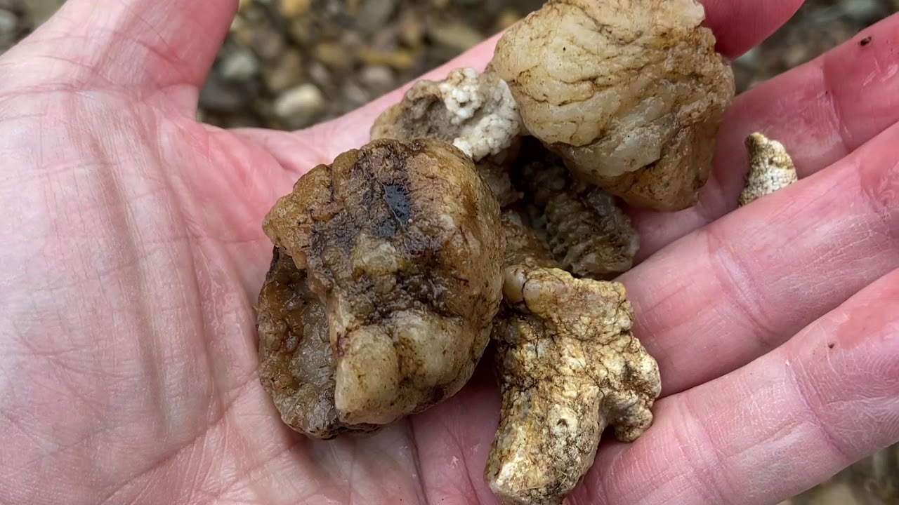 Fossils and Geodes at Our Favorite Indiana Creek EP5 PT1 of 3 - YouTube
