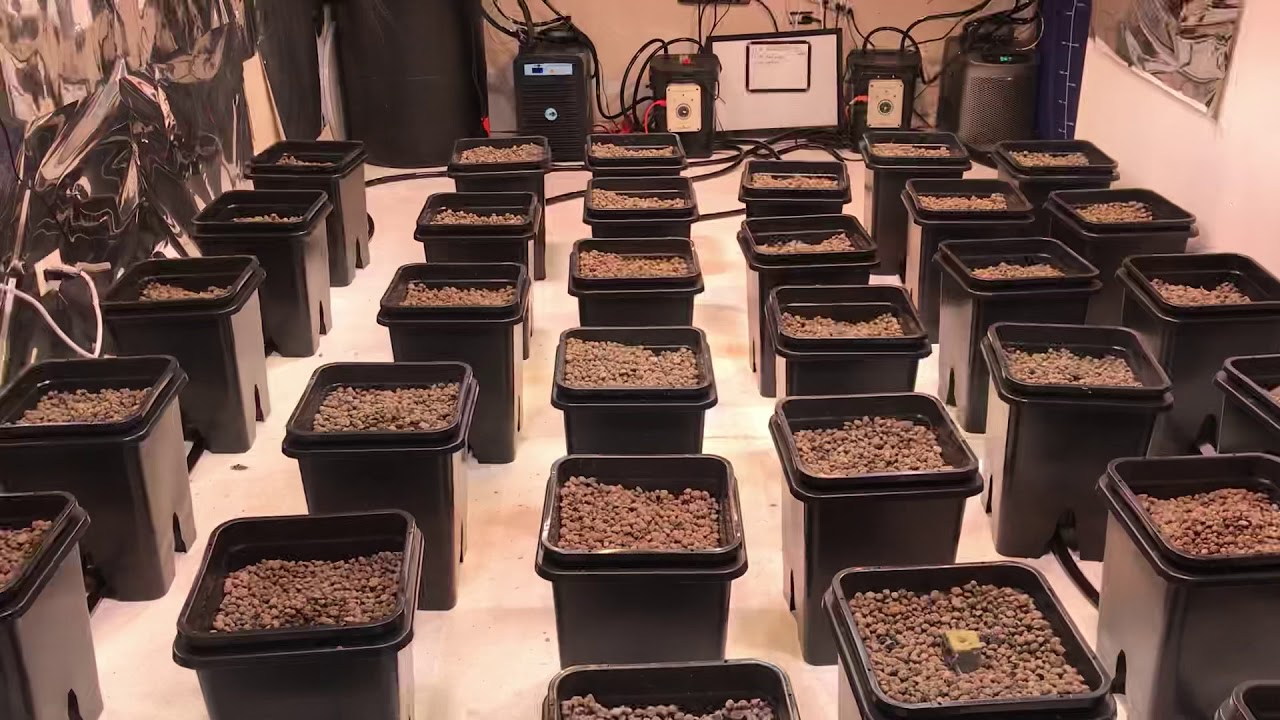 Grow and Flow system - YouTube