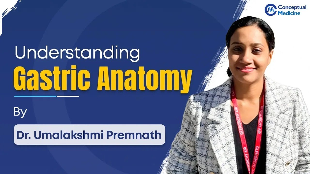 Understanding Gastric Anatomy by Dr. Umalakshmi Premnath #medicine ...
