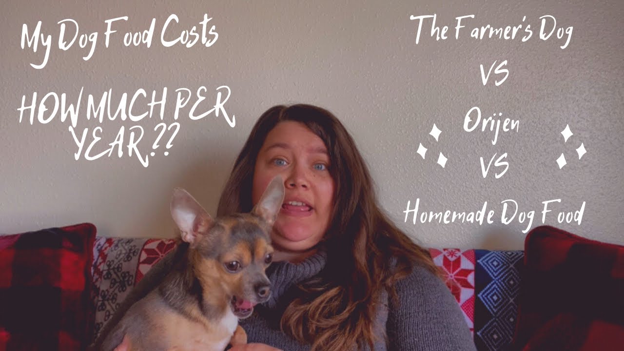 Yearly Dog Food Cost The Farmer s Dog Vs Other Dog Food Cost Break yearly-dog-food-cost-the-farmer-s-dog-vs-other-dog-food-cost-break