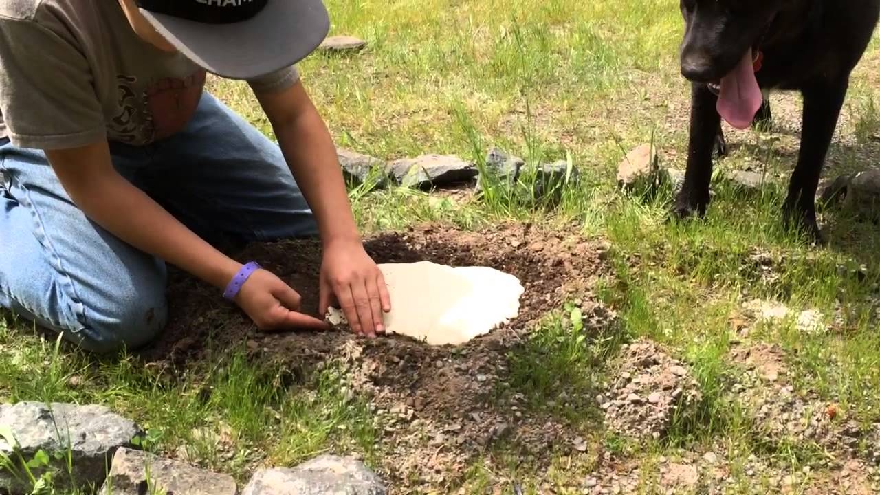 Wyatt Casting Dog Print - YouTube