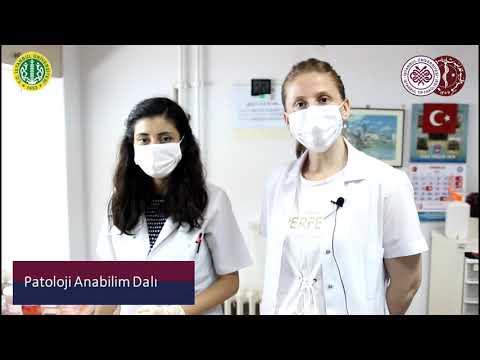 Akademisyenimiz, Patoloji Ana Bilim Dalı'nı Anlatıyor