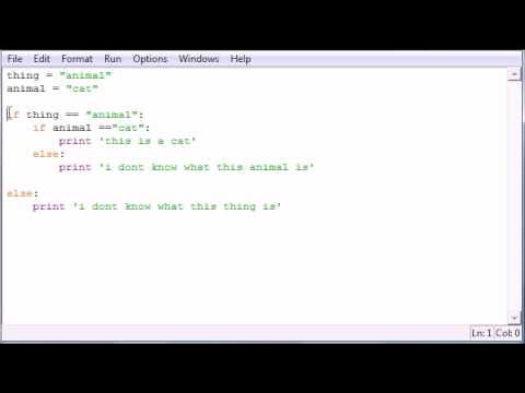 Python Programming Tutorial - 22 - Nesting Statements - YouTube