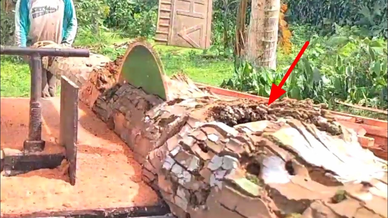 Tampilan cara terbaik di dunia‼️ 2 teknisi gergaji mesin serkel kayu ...