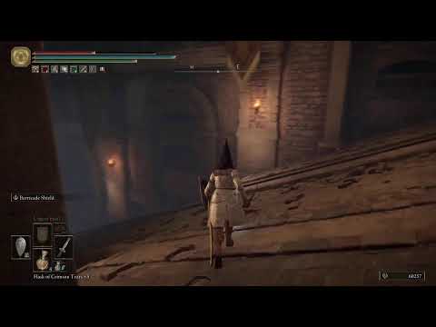(Elden Ring)The Lucky Plumber
