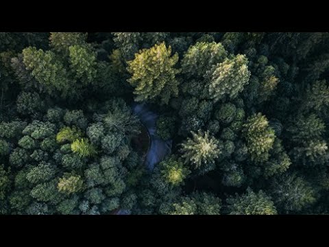 Evergreen 7Ps Principles Overview - YouTube