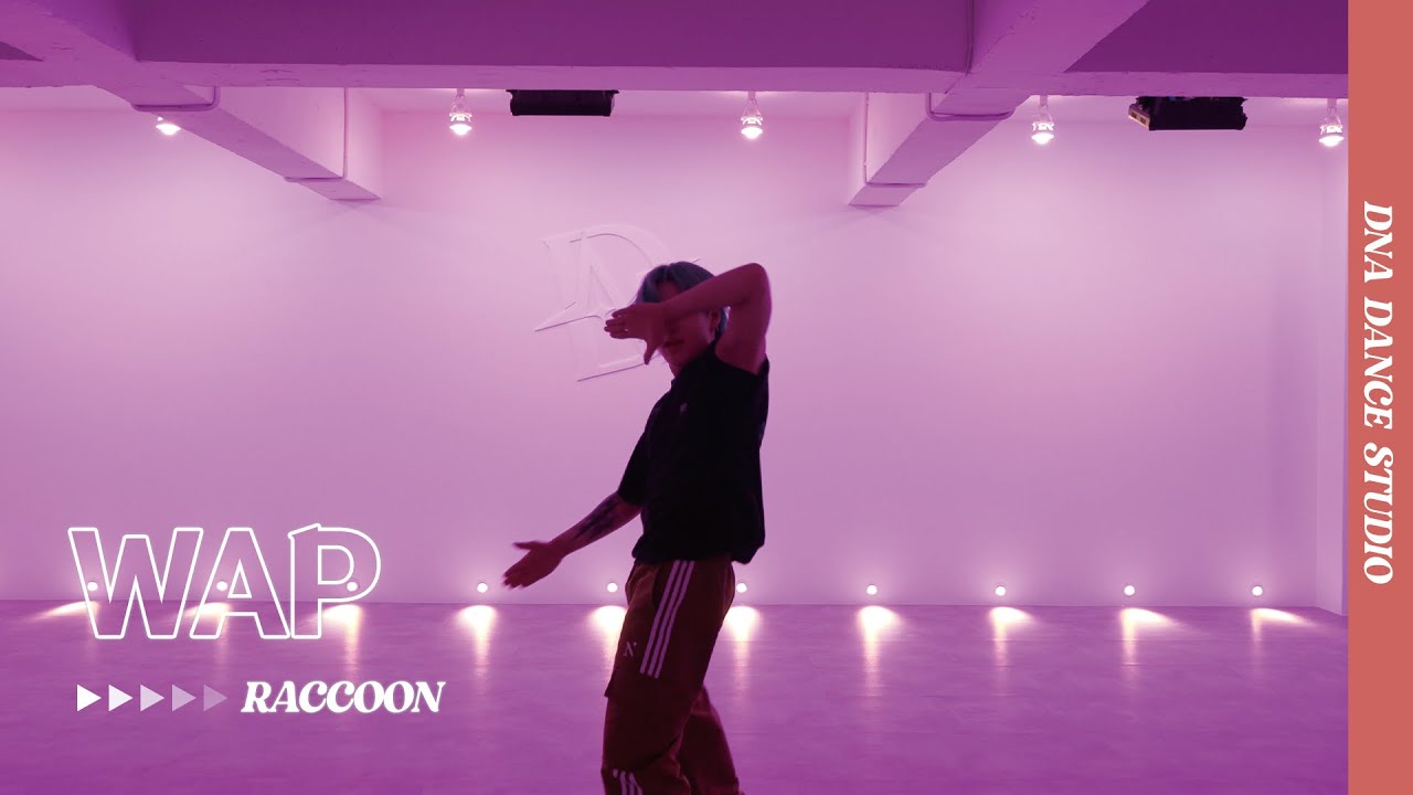 Wap - CardiB | RACCOON Choreography | DNA Dance Studio - YouTube