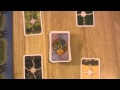 The Golden City | Board Game | BoardGameGeek